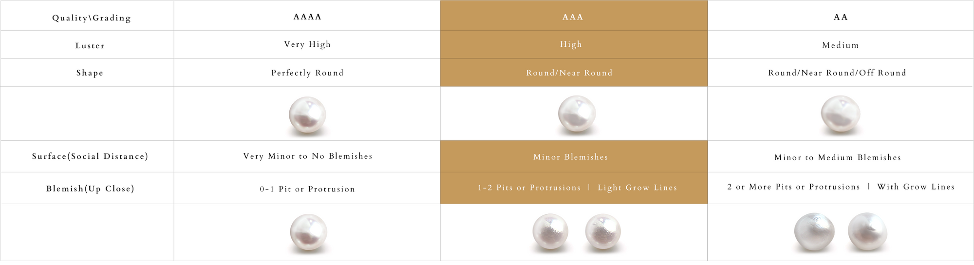 Gingiberi Akoya Pearl Necklace – Elegant & Stylish Two-Way Design